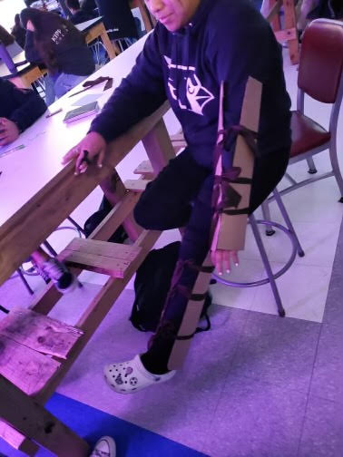 Introducing Our New Class: Principles of Health Science – The Cardinal Post