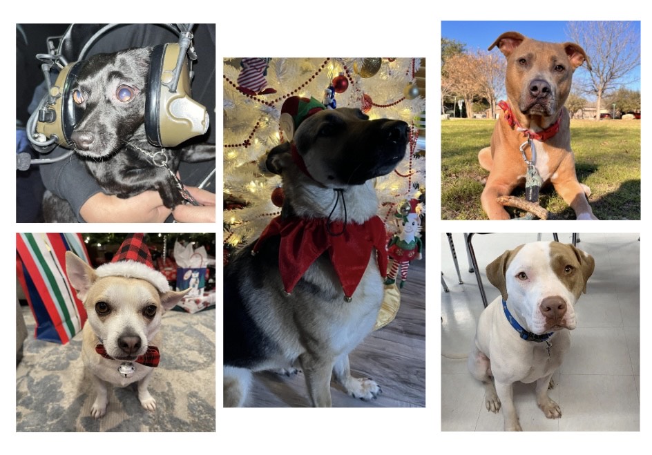 img_1578 – The Cardinal Post